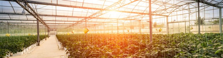 What is an Adiabatic Cooling System? - Cold Shot Chillers