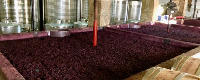 What is the Best Wine Fermentation Temperature (and How to Control it ...
